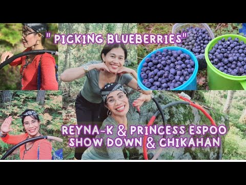 It's Show down! @ It's tuwad tuwad! Wild berry picking, let's go go go ...