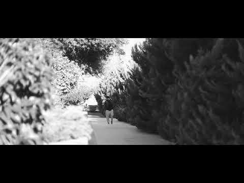 Kamran Agabalayev  \