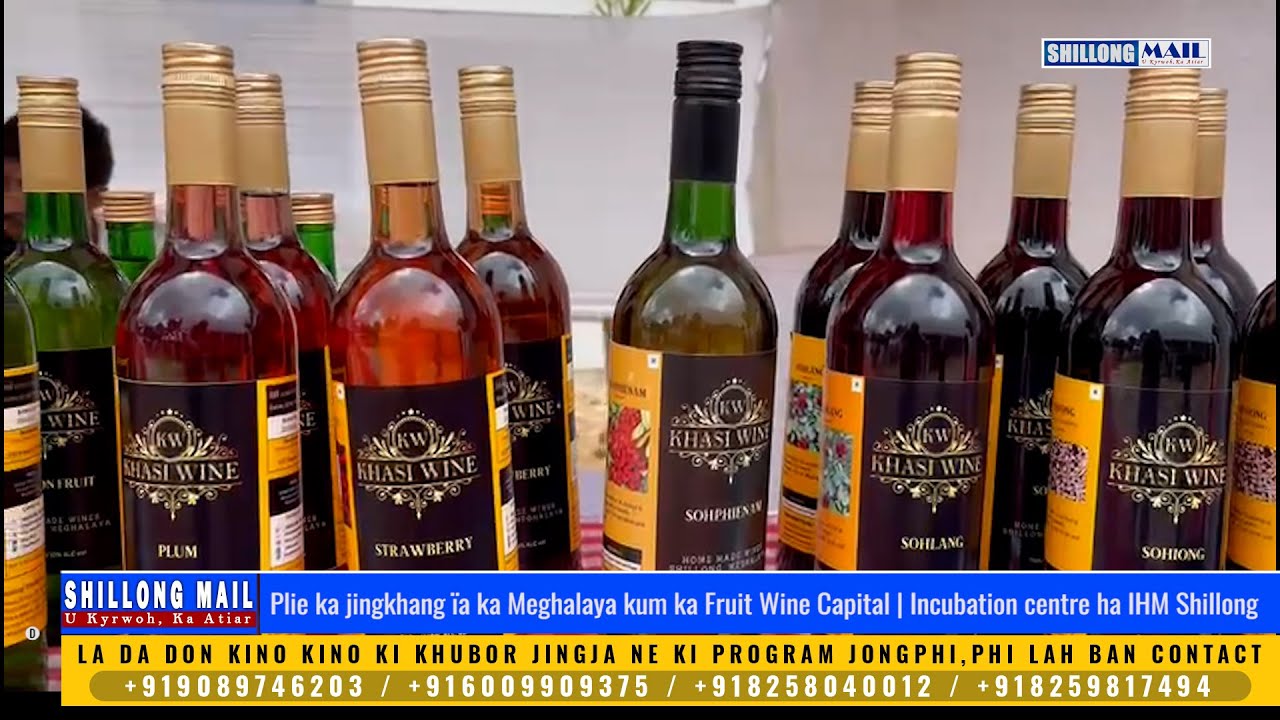 Plie ka jingkhang ïa ka Meghalaya kum ka Fruit Wine Capital ...