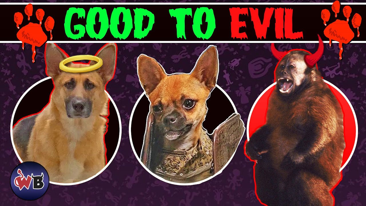 Horror Movies Pets: Good to Evil 🐶🐱👻 - YouTube