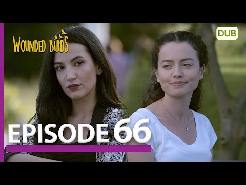 Wounded Birds Episode 66 - Urdu Dubbed | Turkish Drama