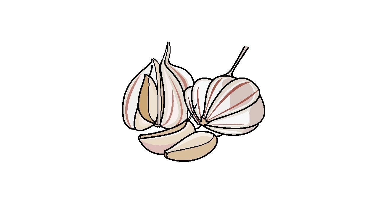 Garlic / How To Draw / Vegetables - YouTube