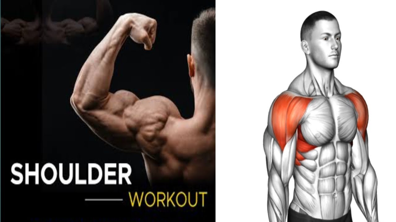 Shoulder Workout At Gym For Beginners || Best Sholder Exercise - YouTube