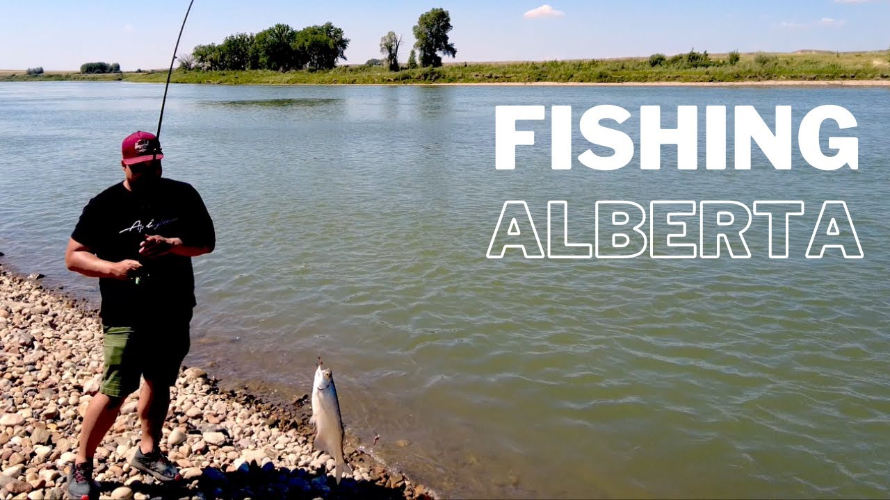 Explore Alberta: Fishing at Bassano Dam - YouTube