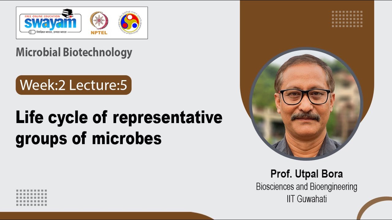 Lec 9: Life cycle of representative groups of microbes - YouTube