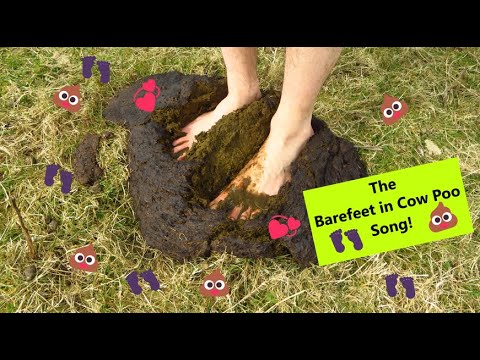 The Cow Poo Song! - A tribute to Bare feet in Cow poo - YouTube