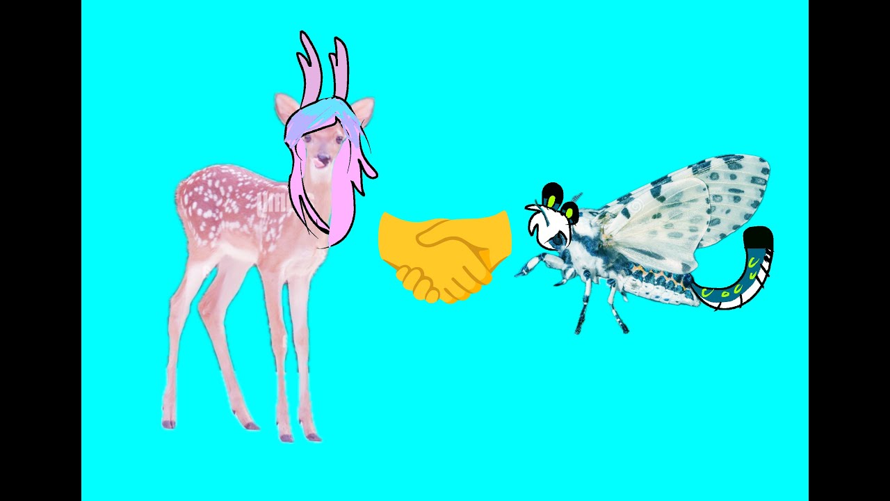 goofy ahh deer and goofy ahh moth (READ DESC) - YouTube