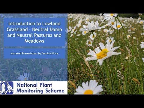 NPMS Introduction to Lowland Grassland - Neutral Damp and Neutral ...