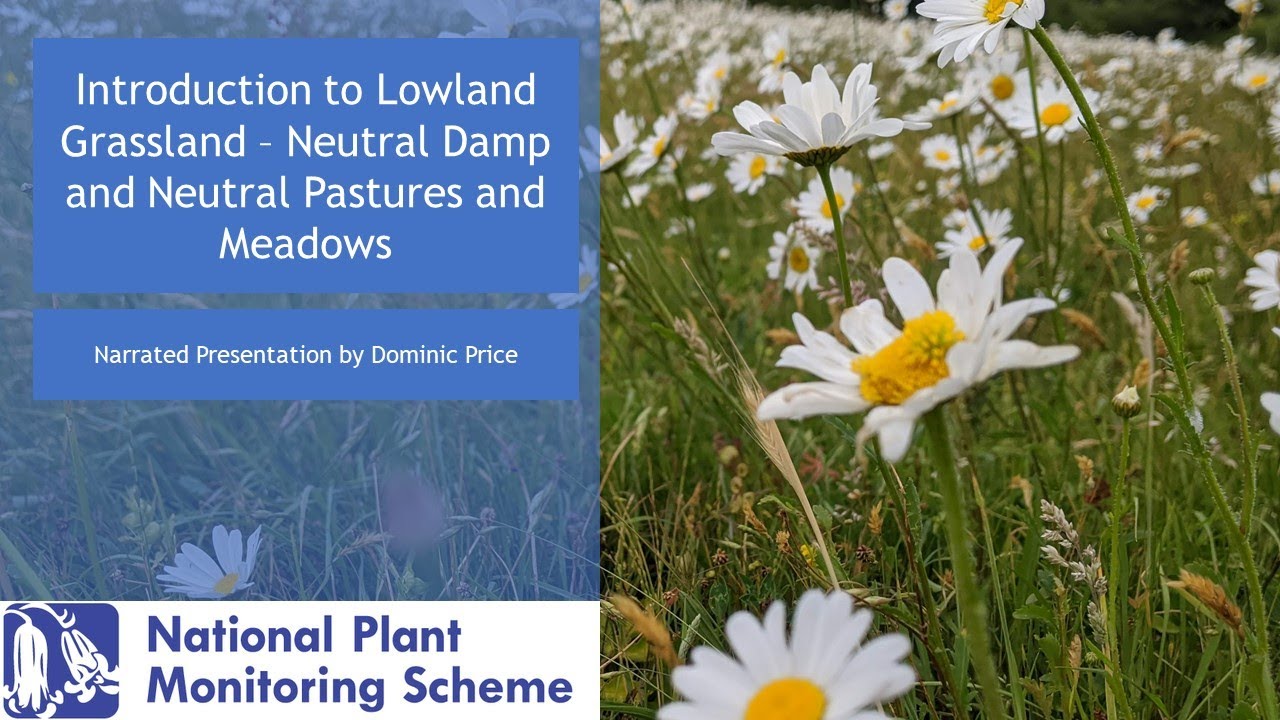 NPMS Introduction to Lowland Grassland - Neutral Damp and Neutral ...