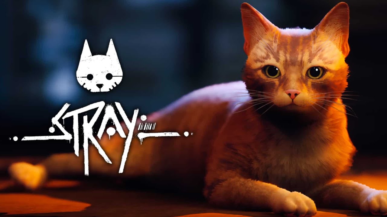 CUTEST CAT GAME EVER! (Stray Pt. 1) - YouTube