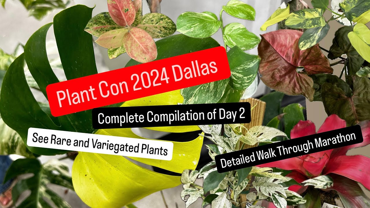 Plant Con 2024 Dallas Complete Marathon Compilation of Plant Shopping ...