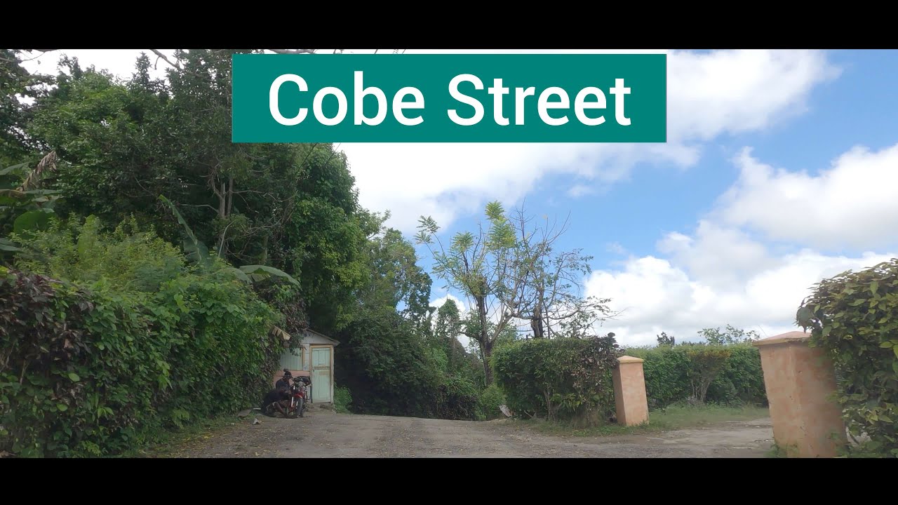 Cobe Street, Hunts Town, St Mary, Jamaica - YouTube