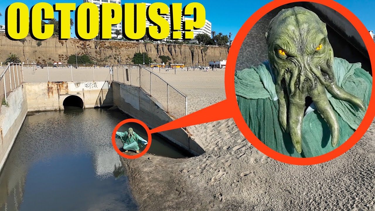 If you ever see this Man dressed as an Octopus, RUN and CALL for help ...