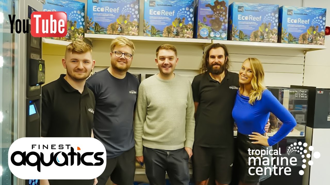 Out of the Offish with Colette - Episode 19 Finest Aquatics fish shop ...