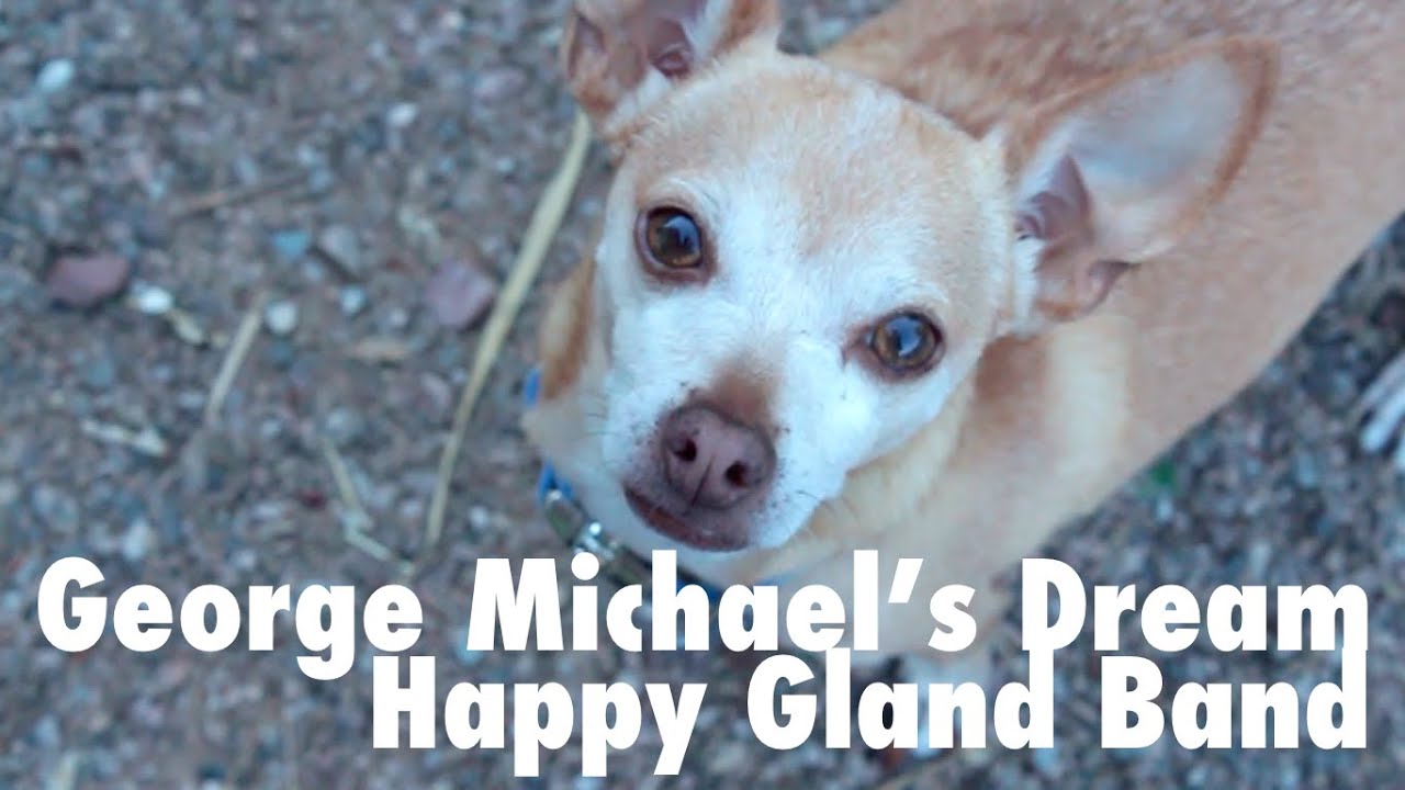 George Michael's Dream—Happy Gland Band - YouTube