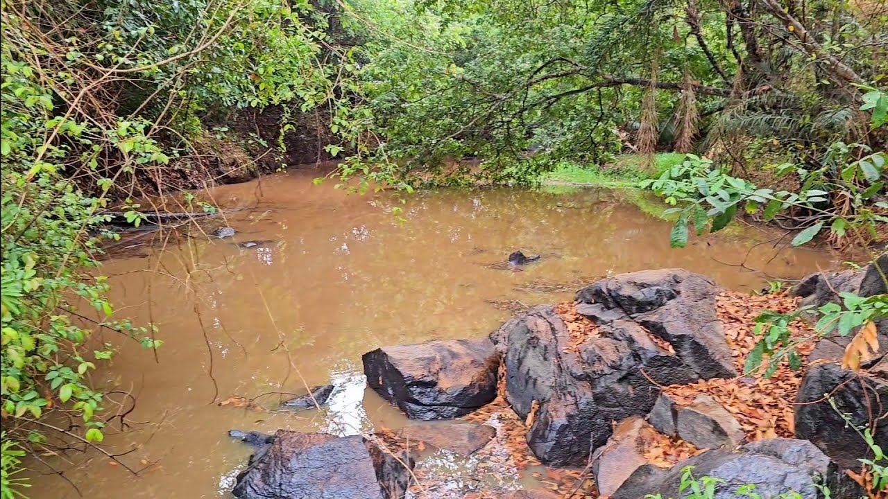 Dia 19 de outubro, o Rio Água limpa nasceu novamente - YouTube