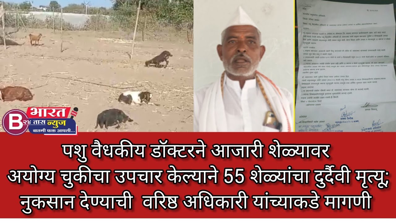 Bhokardan;पशु वैधकीय डॉक्टरनेचुकीचा उपचार केल्याने 55शेळ्यांचा दुर्दैवी ...