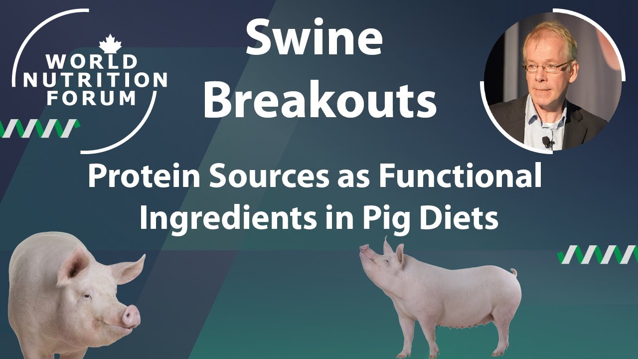 WNF 2016 Swine Breakouts: 06 Protein Sources as Functional Ingredients ...