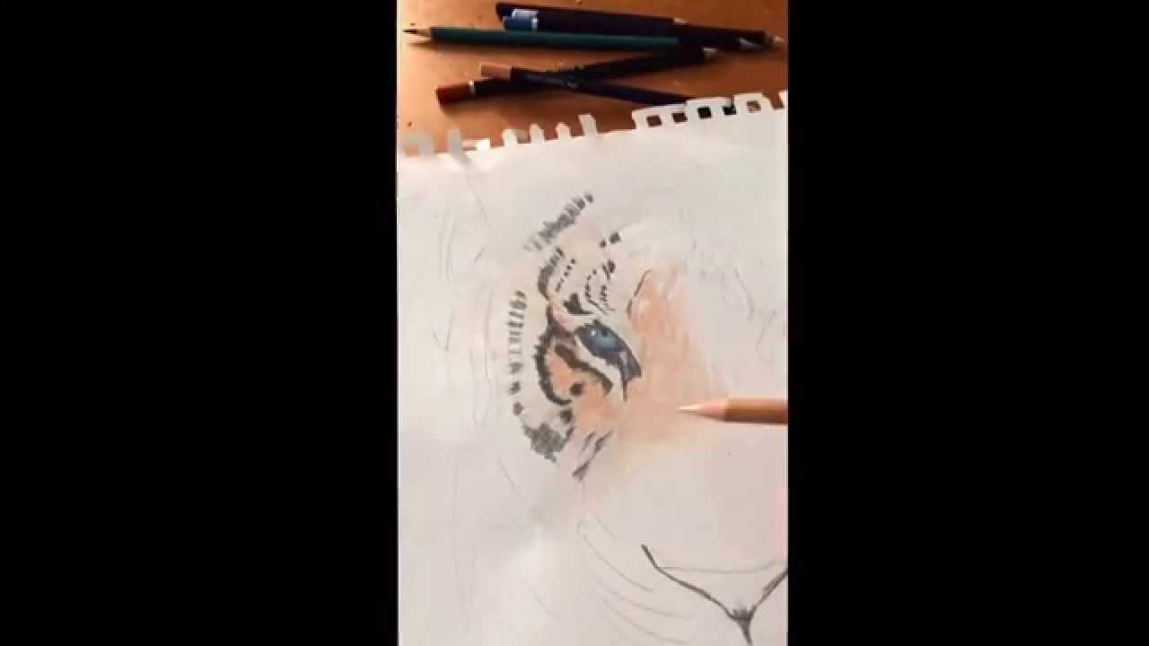 Kathy Loop - Working on Tiger Drawing Progress - YouTube