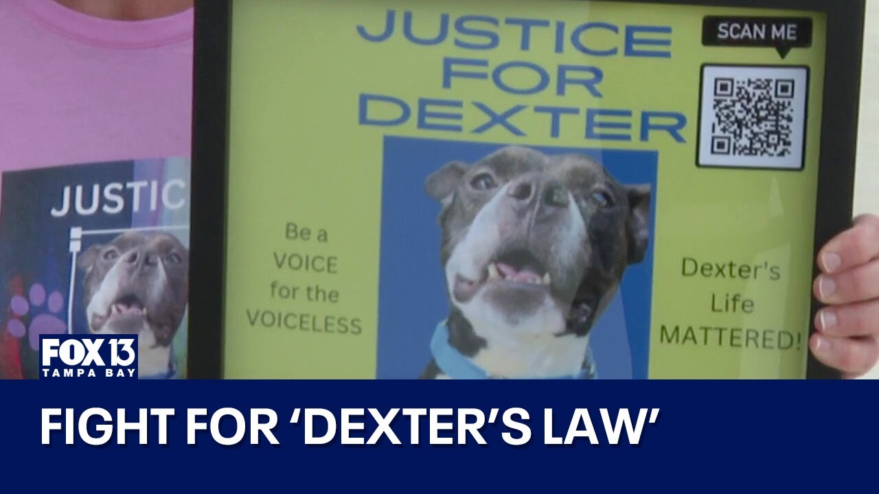 Animal advocates fighting for 'Dexter's Law' to strengthen punishment ...