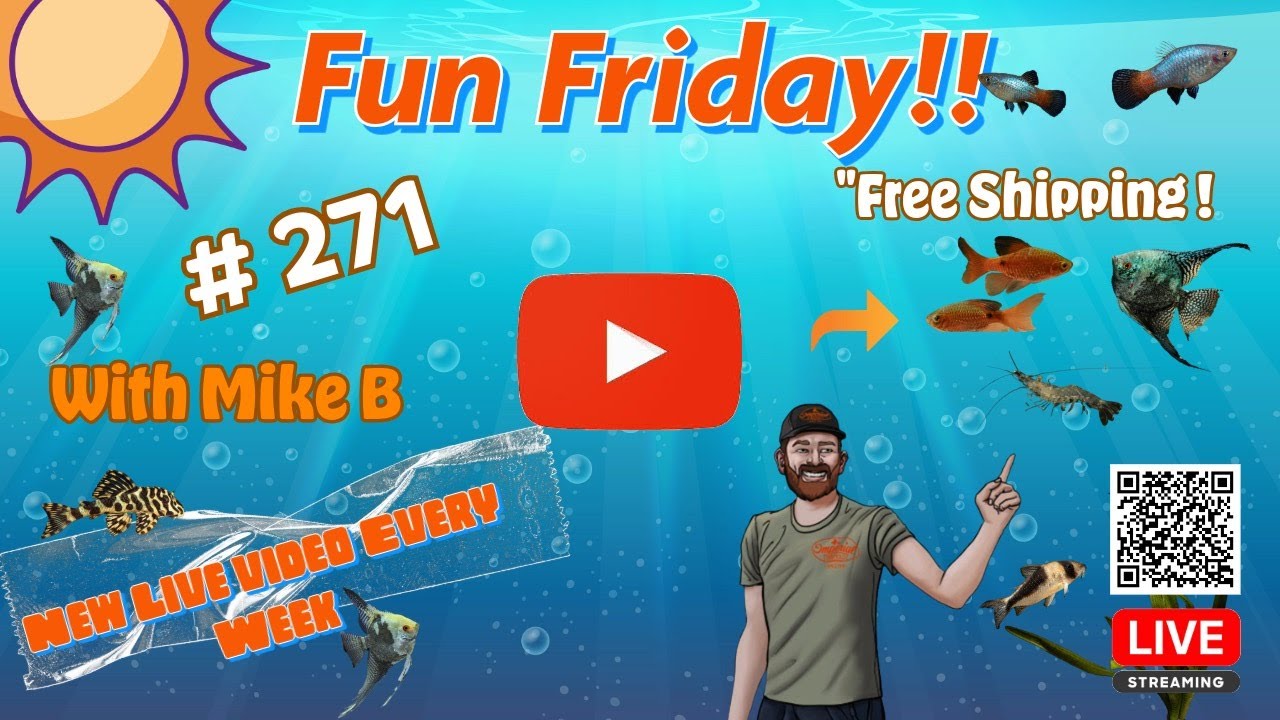 Win Free shipping from Imperial Tropicals 🙌 Join us Live at 12 PM with ...