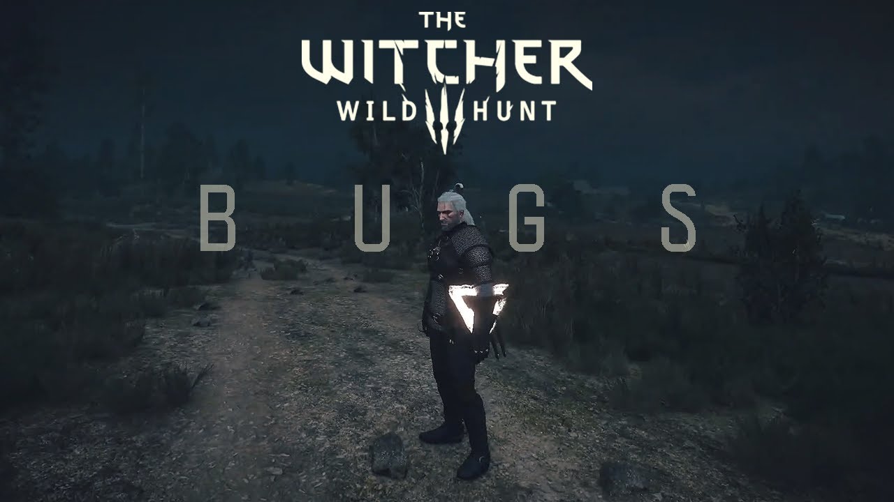 The Witcher 3 - axii sign bug & stuck city guard - YouTube