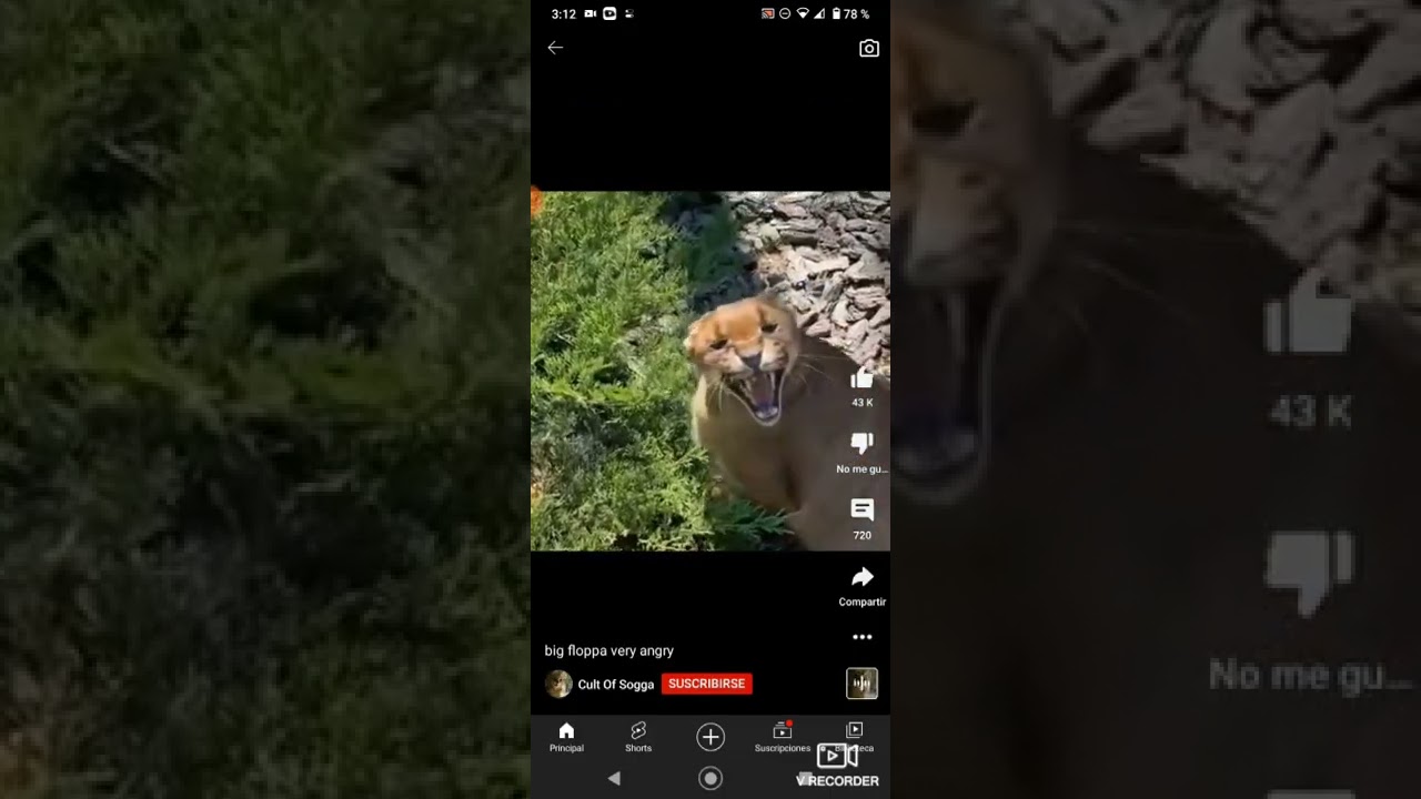 floppa enojado XD - YouTube