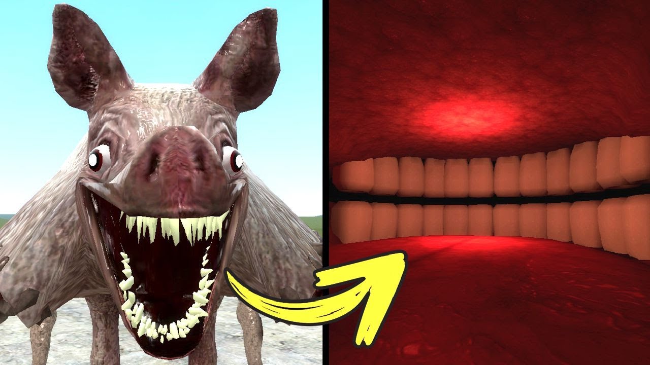 WHAT'S INSIDE THE MUTANT PIG?(Garry's Mod) - YouTube