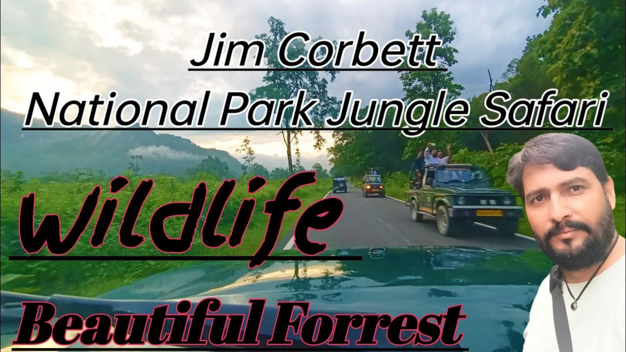 Jim Corbett National Park | Uncut Video | On Road Jungle Safari ...