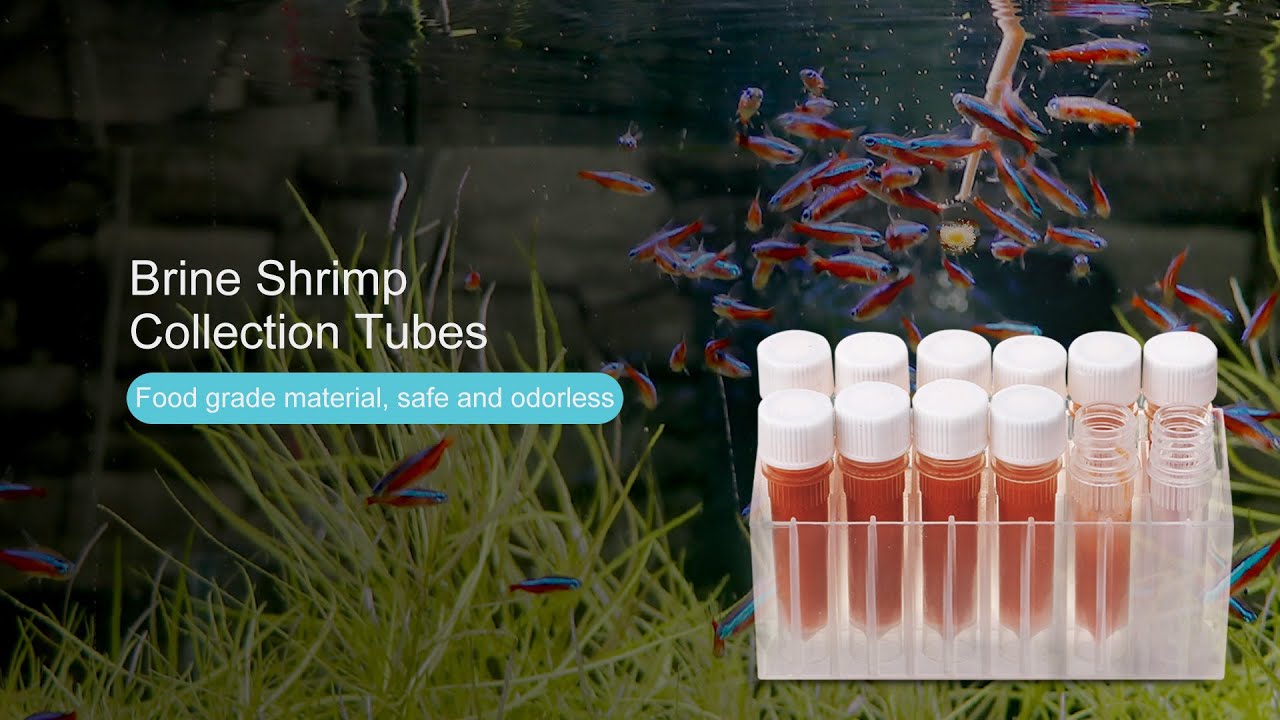 Clscea Baby Brine Shrimp Collection Kit Storage Container for Brine ...