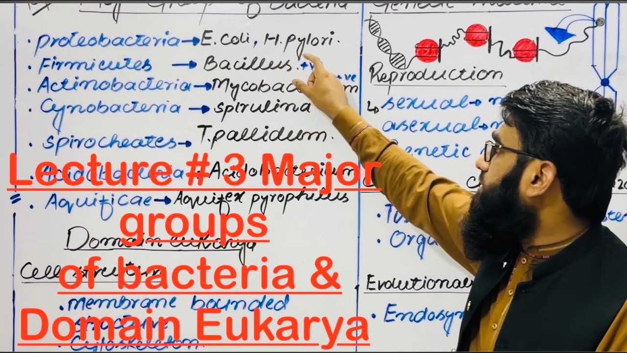 Major Groups of Bacteria | Class 11 Biology |New syllabus Chapter 1 ...