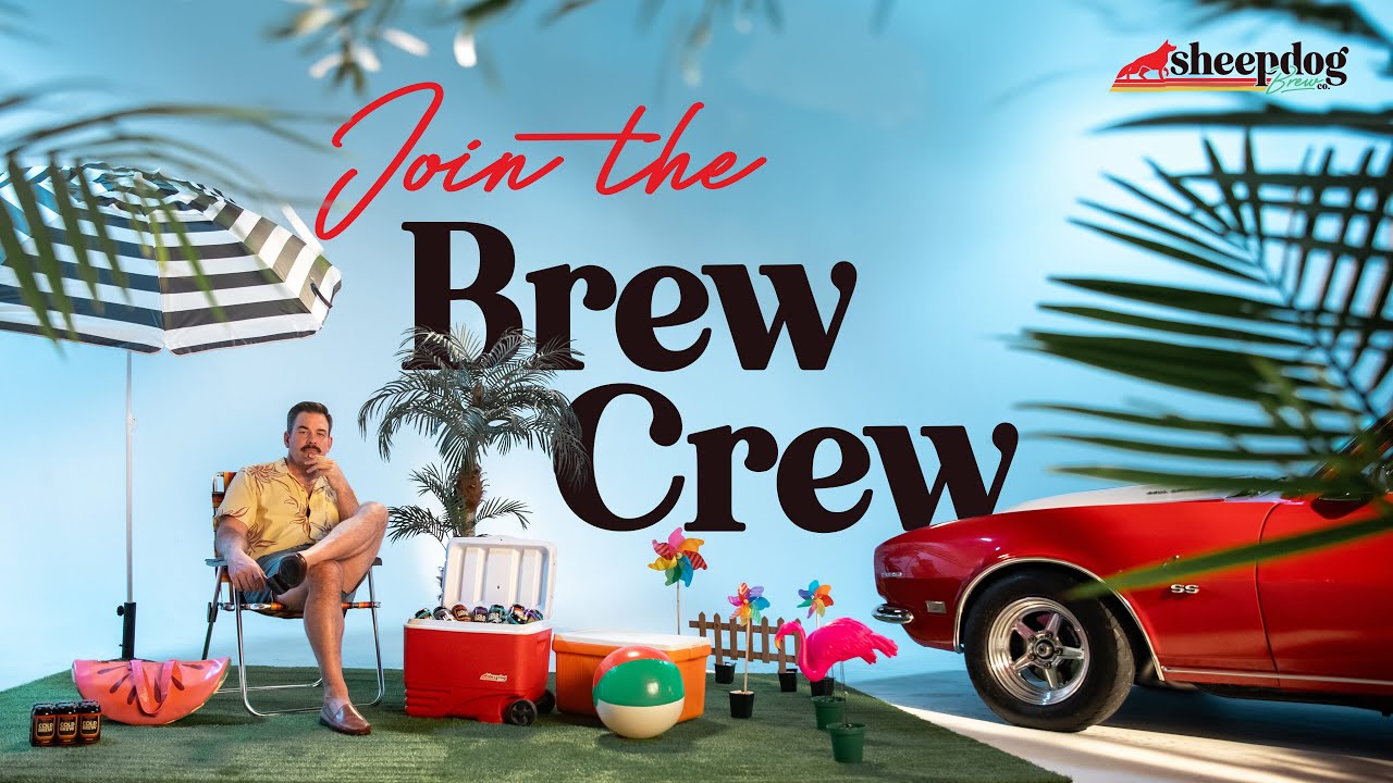 Shift Your Life into 3rd Gear With Sheepdog Nitro Cold Brew | Anchor ...