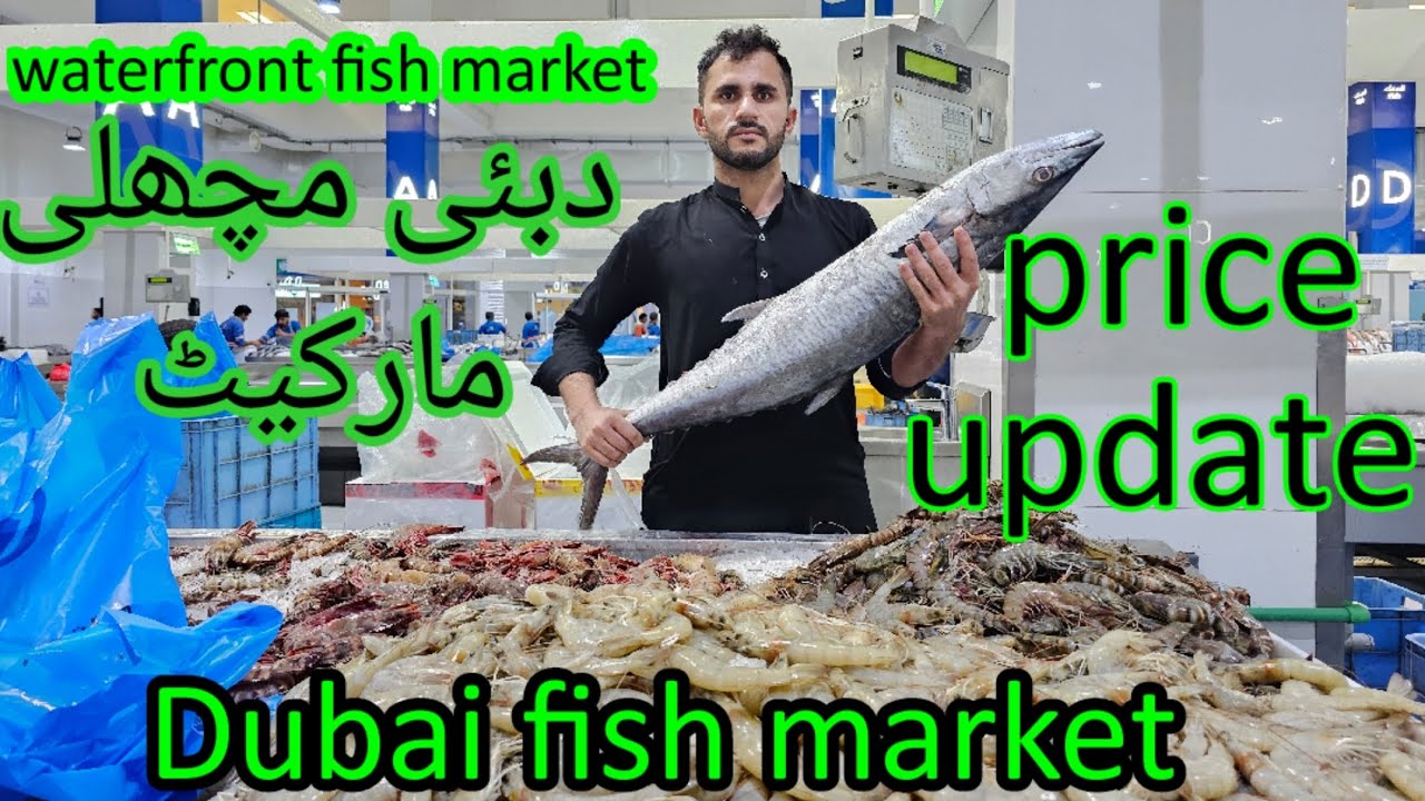 waterfront fish market♤ dubai fish market price update [4k] HDR # ...
