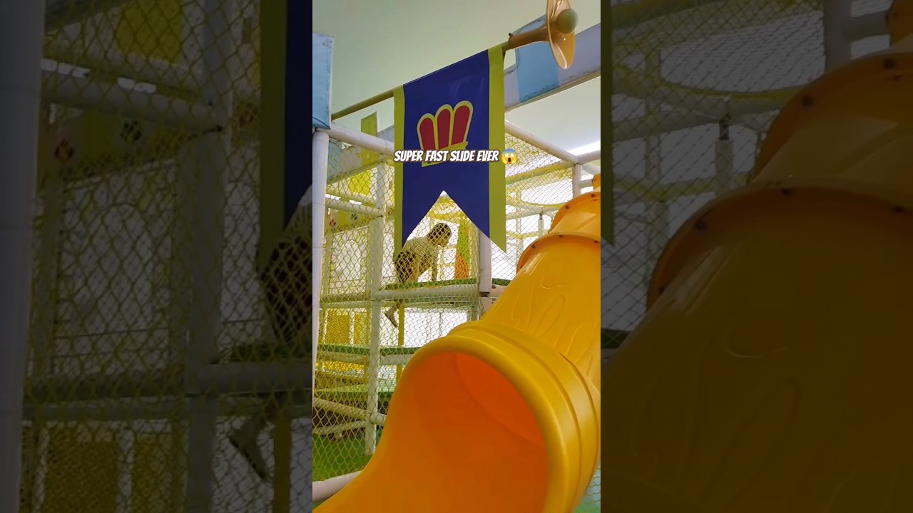 Super fast slide ever! #yellowslide - YouTube
