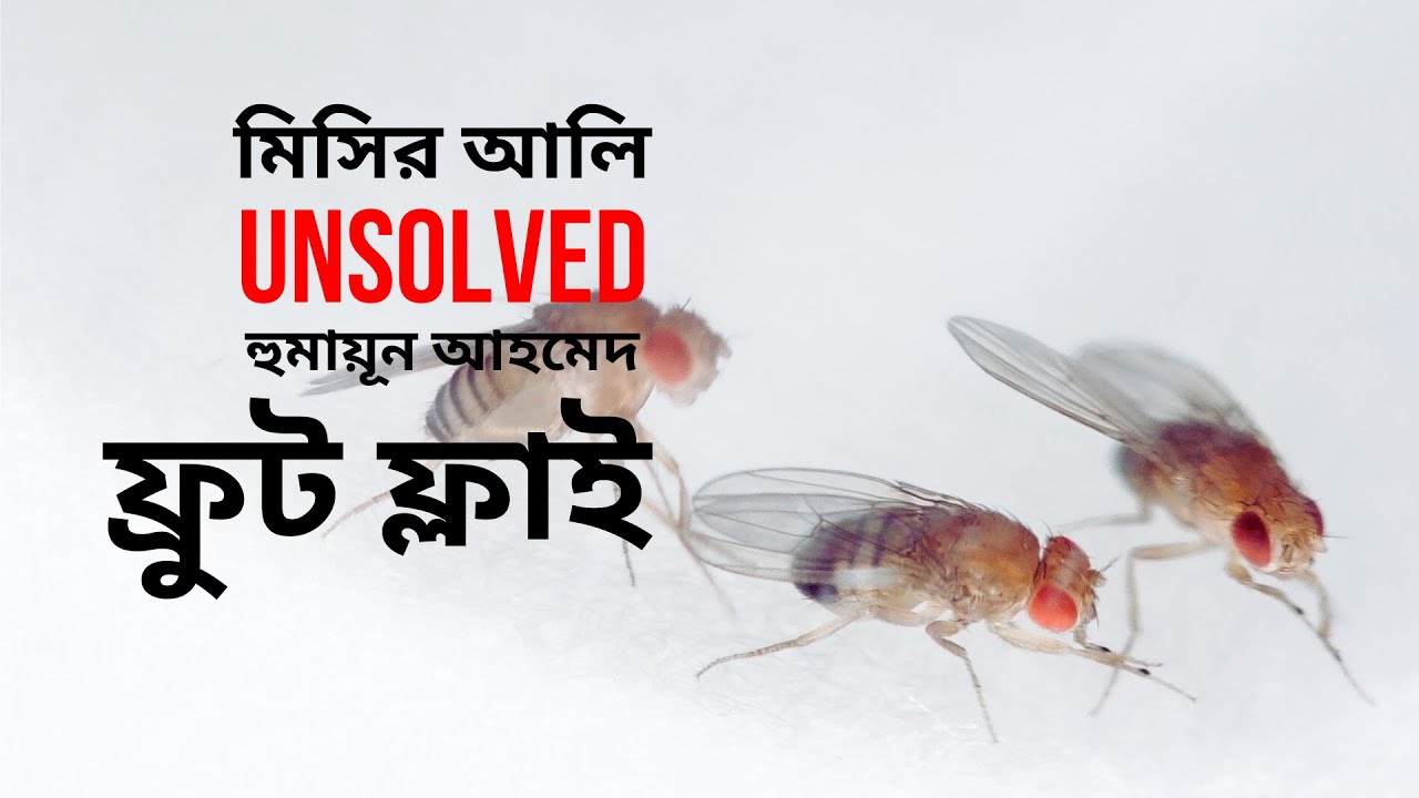 Misir Ali Unsolved - Fruit Fly | মিসির আলি UNSOLVED - ফ্রুট ফ্লাই ...