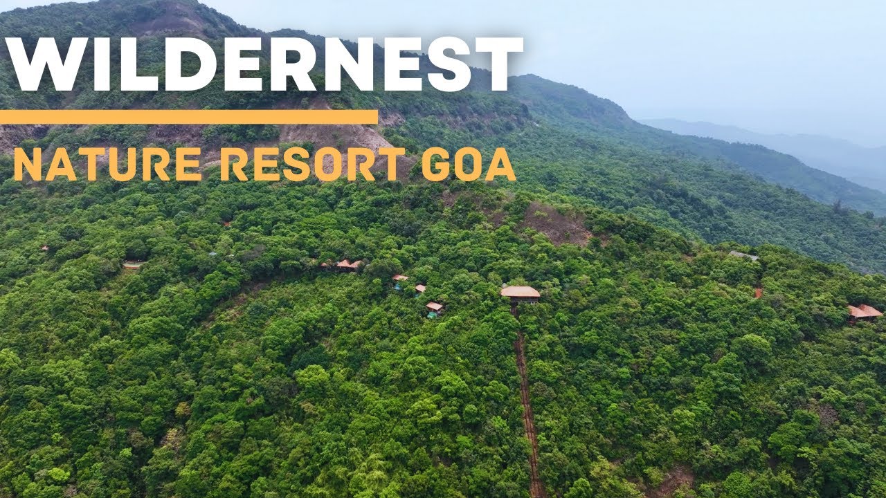 WILDERNEST NATURE RESORT - GOA - YouTube