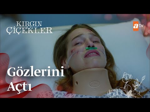Harika'nın son durumu? | Kırgın Çiçekler Mix Sahneler