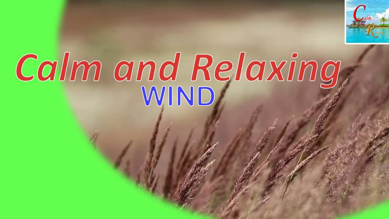 Calm and Relaxing music with Wind | Sleep well, Deep sleep, Stress ...