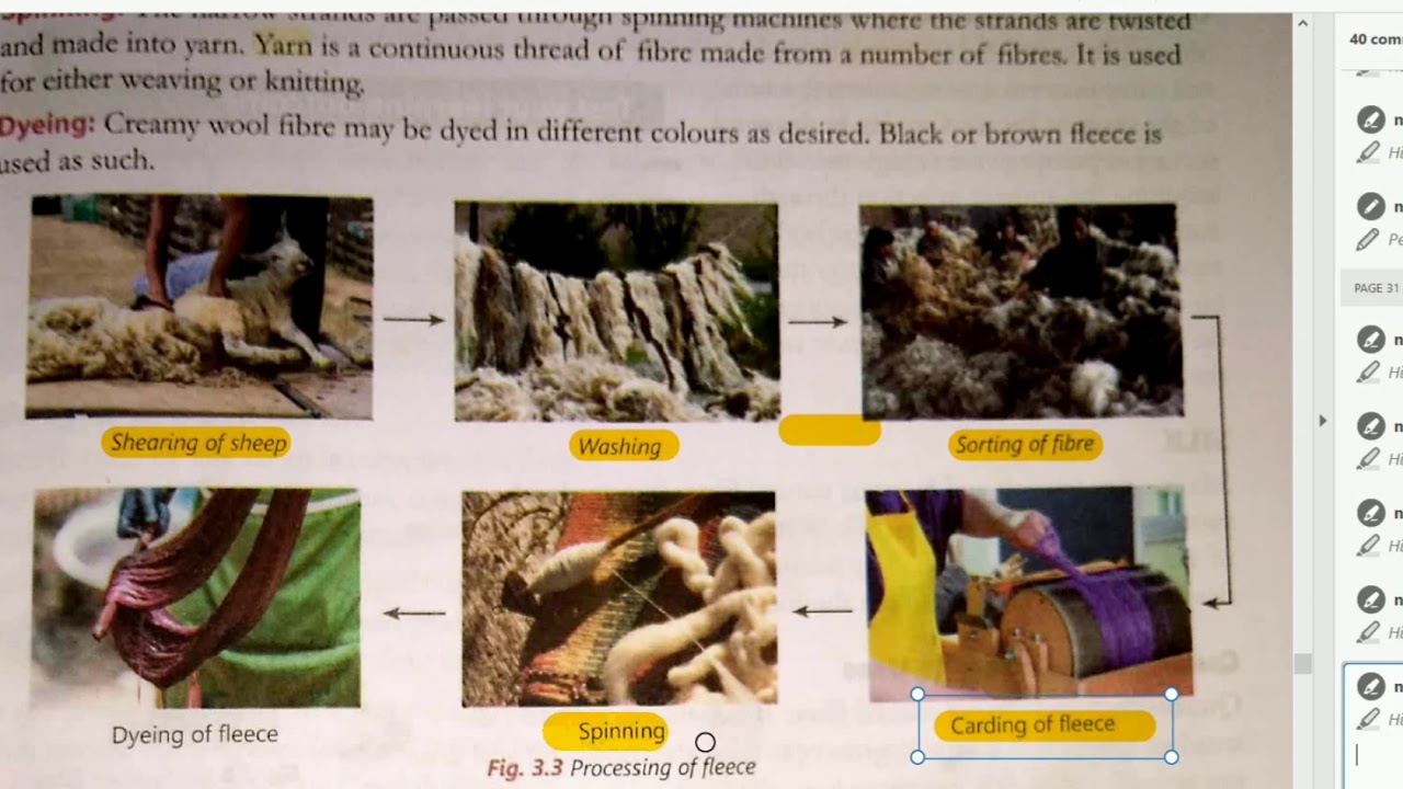 Class 7 | chapter 3 | science | wool - YouTube