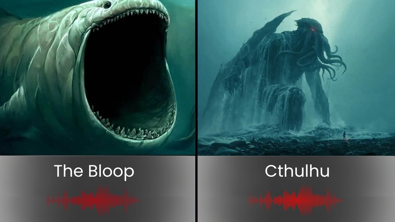 The Bloop vs Cthulhu: Myth and Reality - YouTube