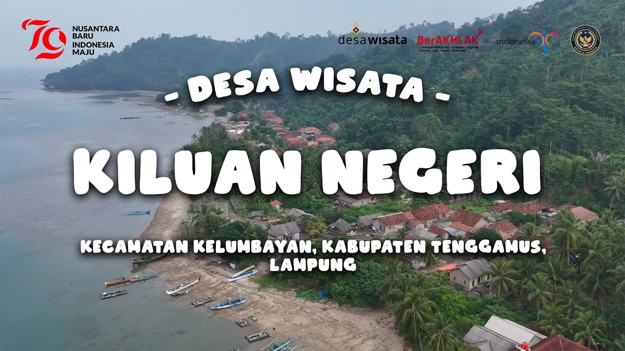 Tempat Observasi Lumba-Lumba di Alam Lepas Cuma Ada di Kiluan Negeri ...