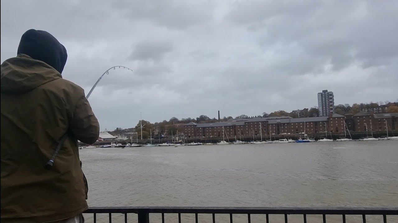 back to the start simple sea fishing loads of fish with friends /sea ...