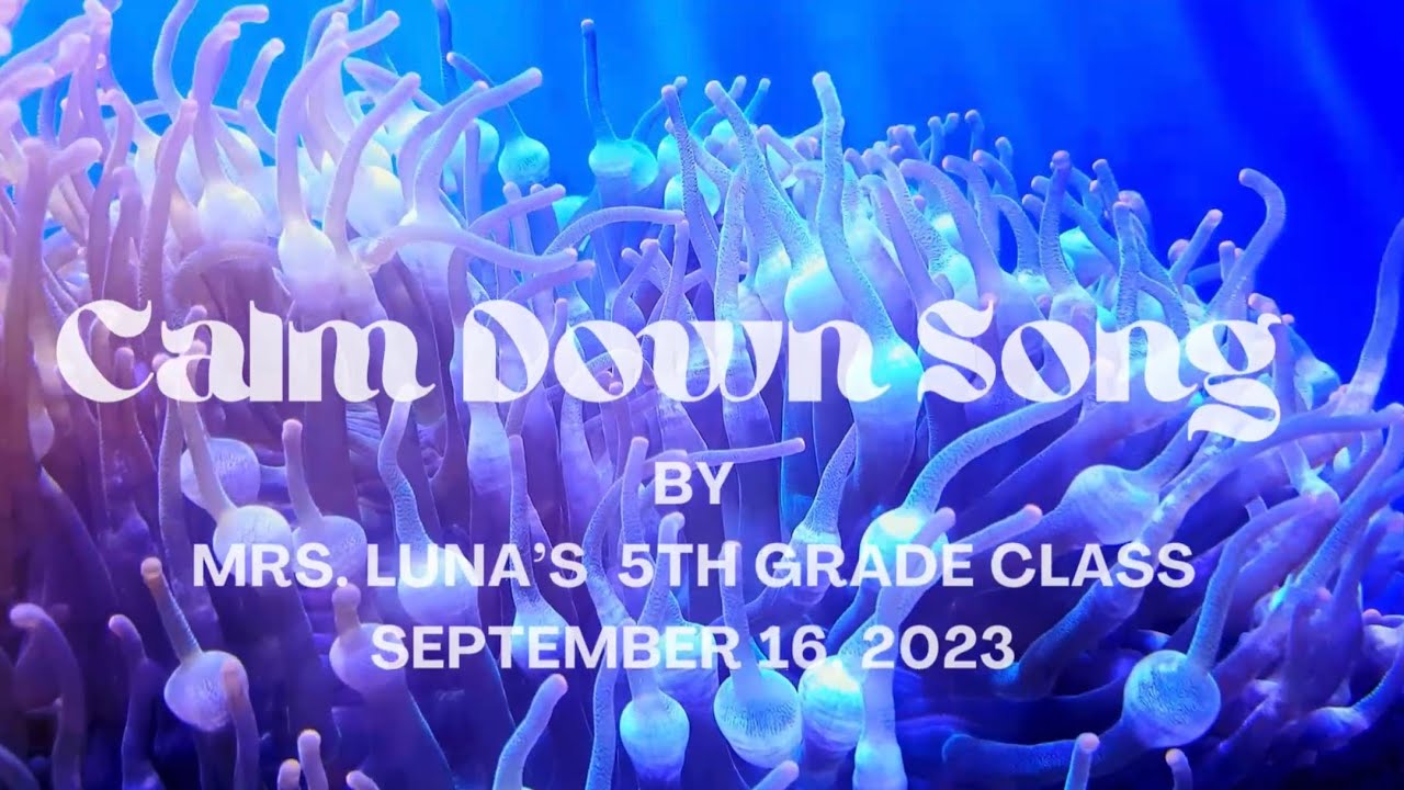 Calm Down Song by Mrs. Luna’s 5th Grade Class - YouTube
