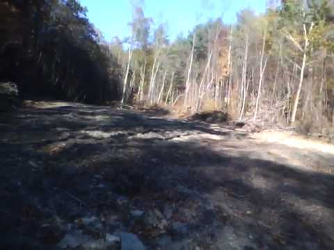 creek bottom food plot.mp4 - YouTube