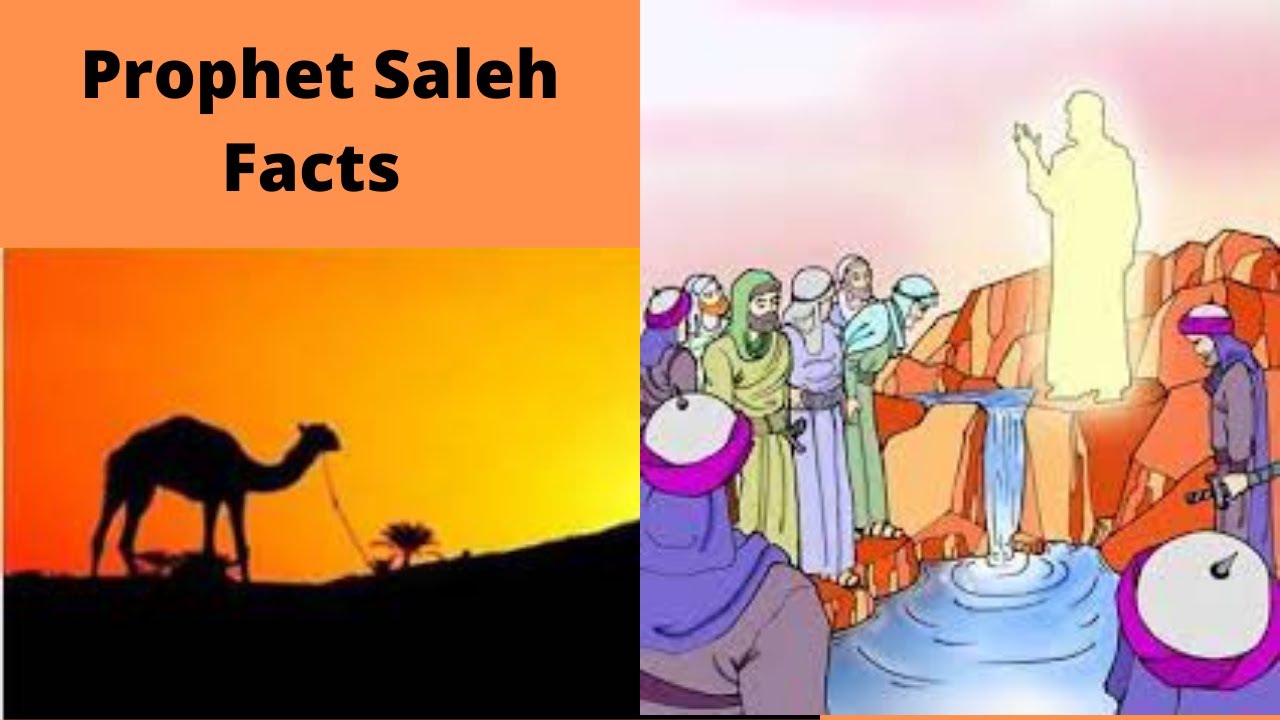 Facts about Prophet Saleh - YouTube