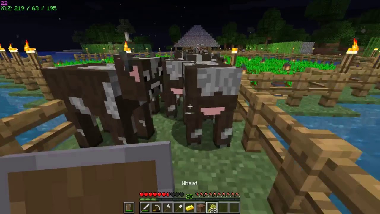 Kandang Sapi Terbaik ! - Eps 4 - Minecraft Survival - YouTube