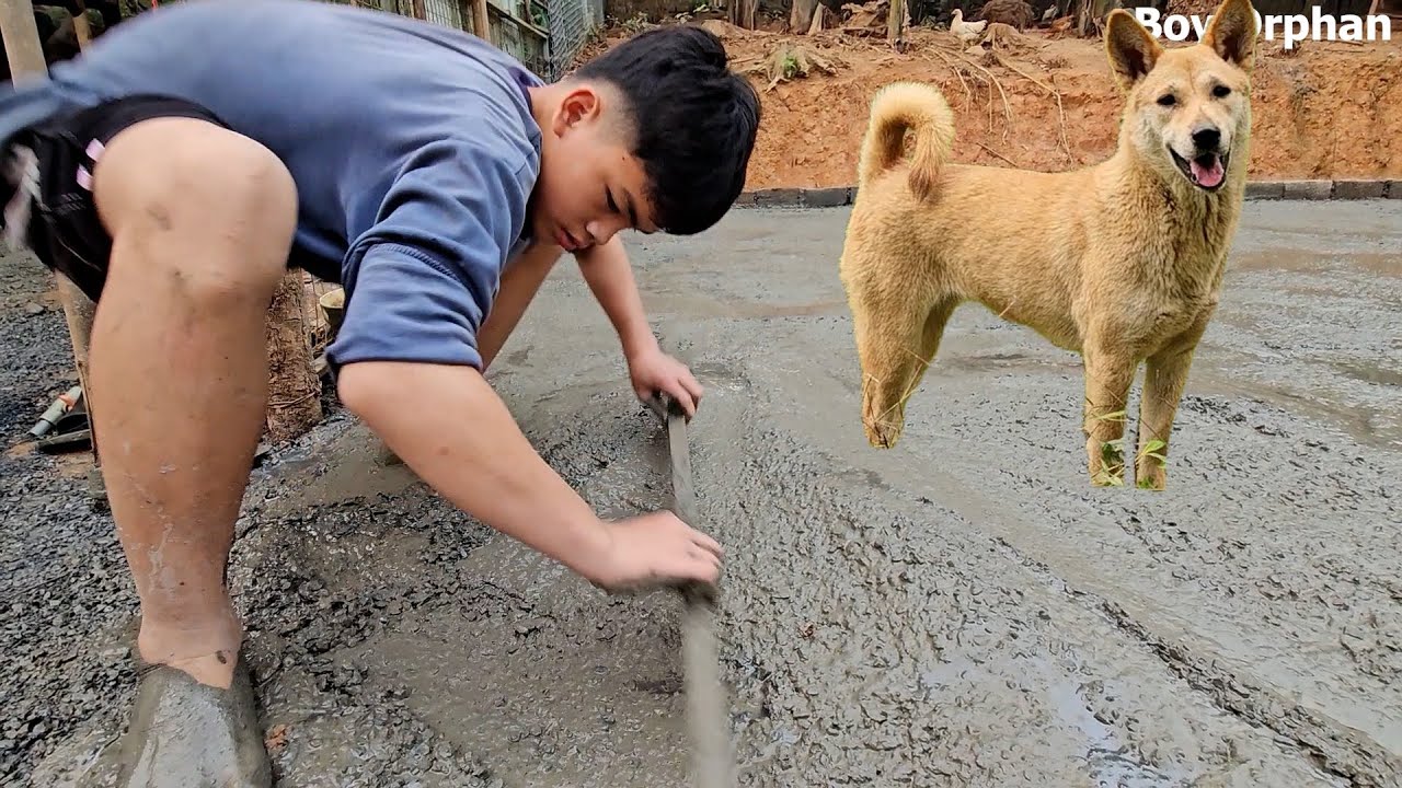 Orphan Boy and little Dog, Make Concrete Foundation for Animal raising ...