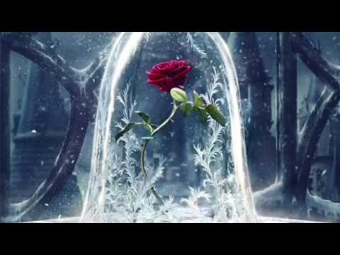 Tale As Old As Time | Beauty and the Beast Lyrics (Emma Thompson) - YouTube