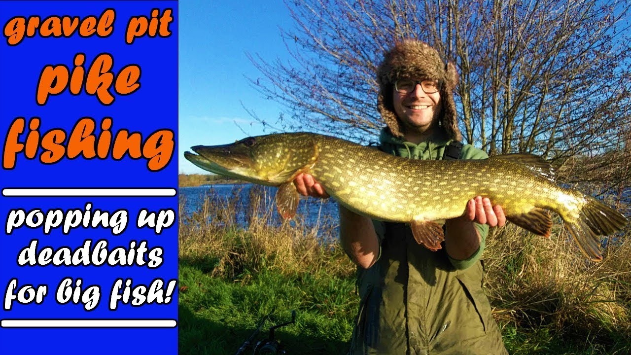 PIKE FISHING|popping up deadbaits for BIG gravel pit PIKE! - YouTube