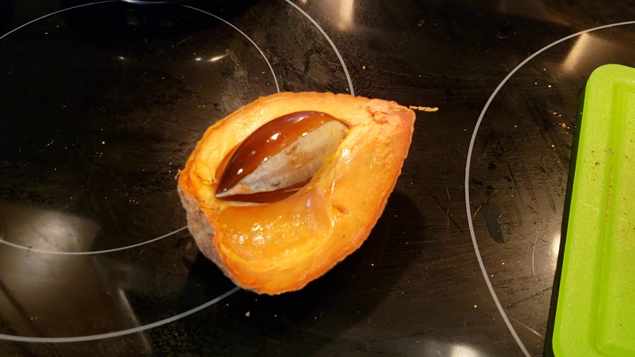 Mamey Sapote shake recipe - YouTube